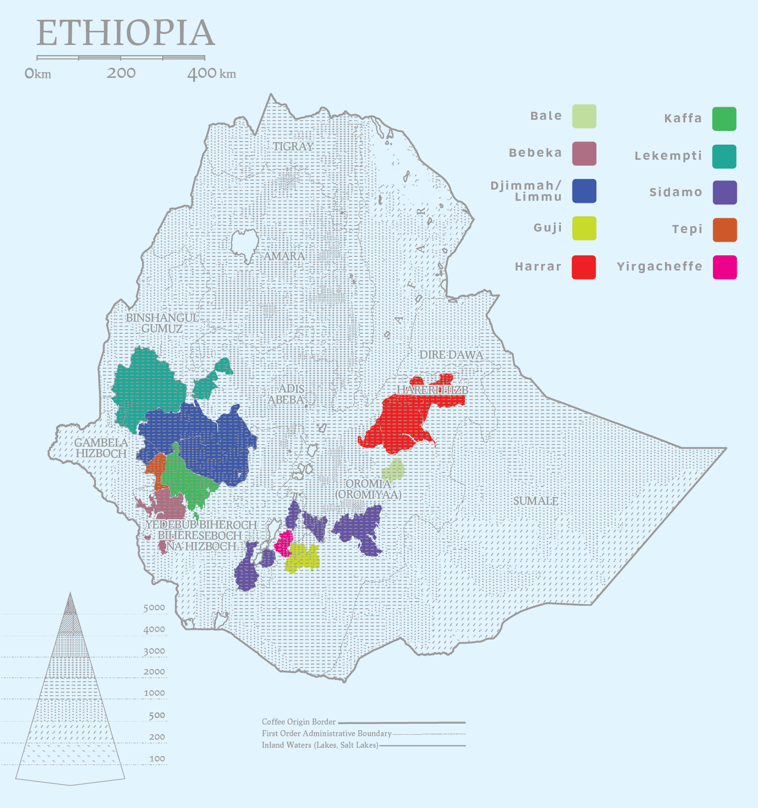 Ethiopia Oromo - Freshly roasted specialty coffee